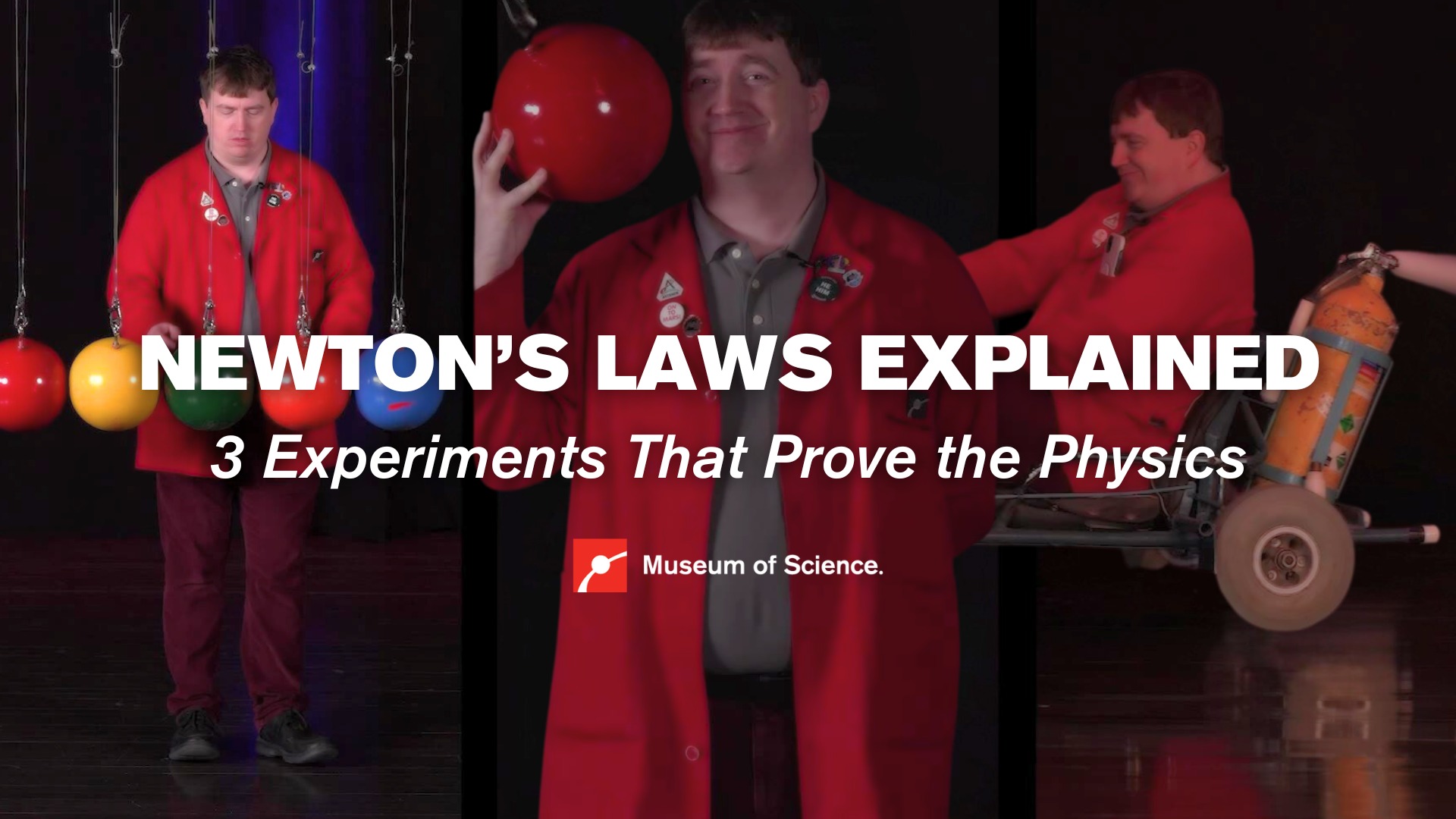 What happens when you trust physics with your face, swing massive ...