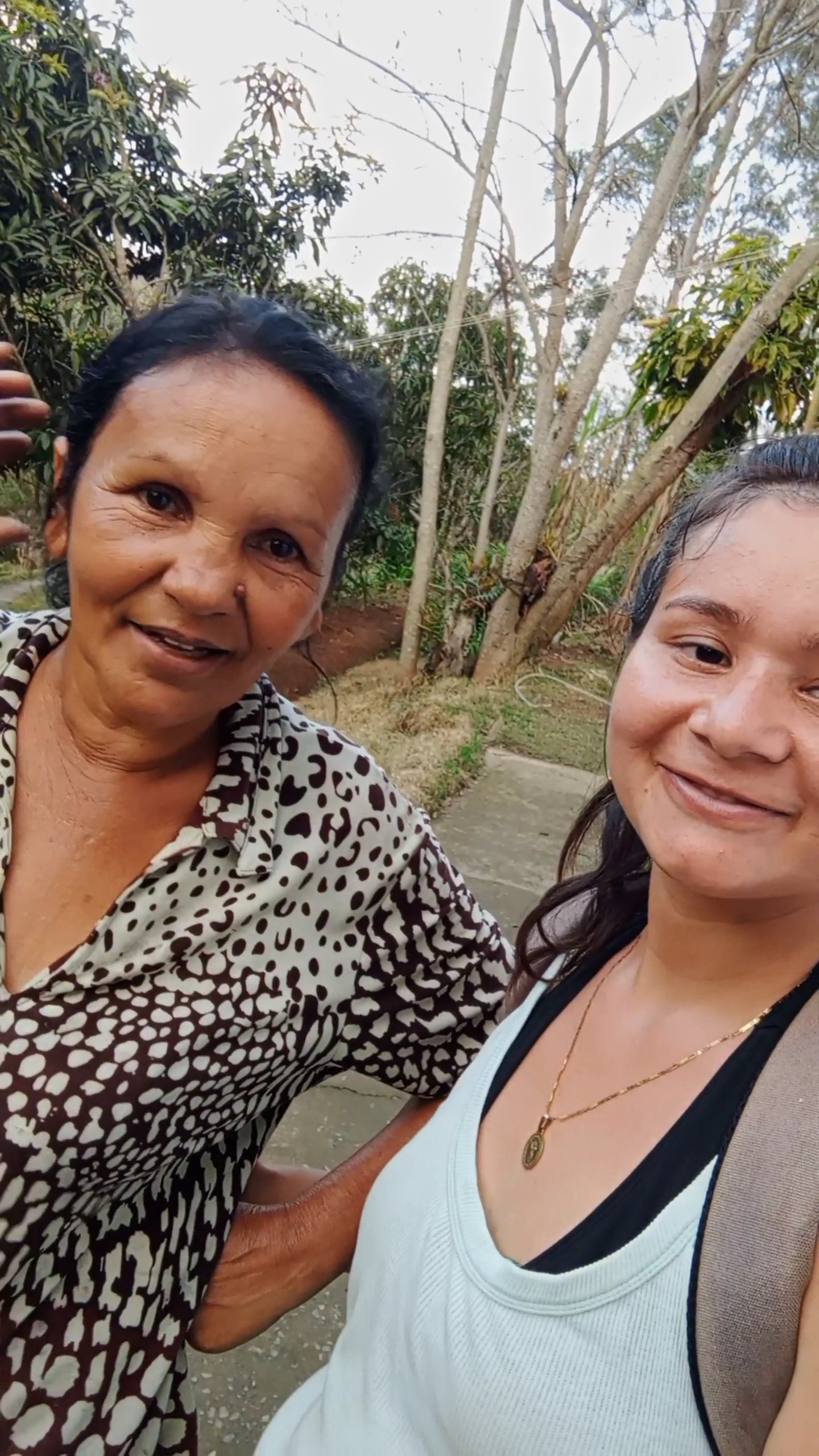 Hormiga Culona Brasileira Ustedes Ya Probaron Hormiga Culona