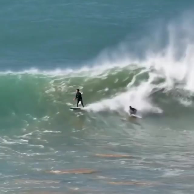 Surf Sex Sea Home Facebook
