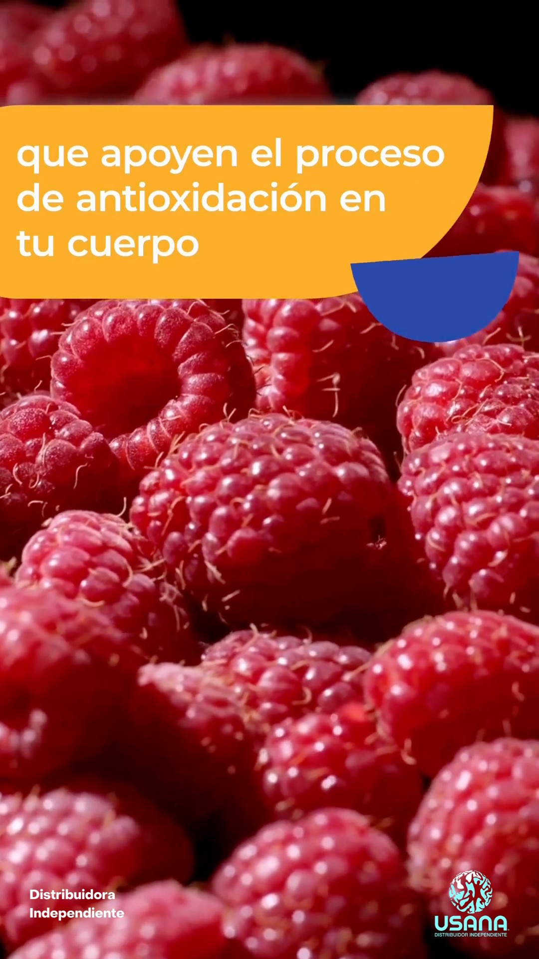 ¿sabes Cuáles Son Los Factores De Riesgo Para La Salud Cardiovascularemk 5536