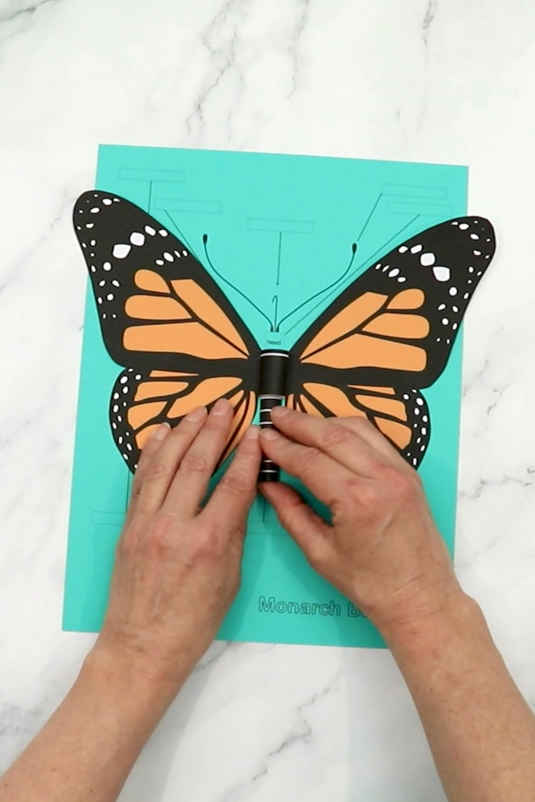 Realistic monarch butterfly craft. You can make this with or without ...