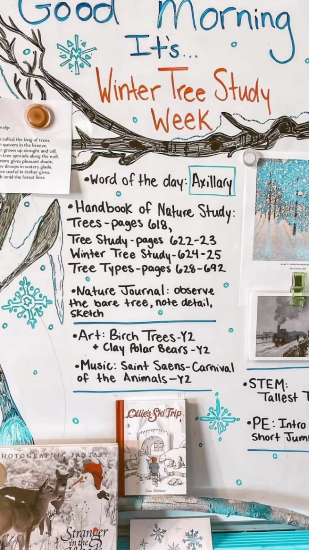 A look back at Winter Tree Study Week in Exploring Nature with Children ...