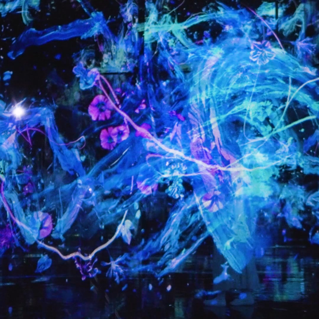 “teamLab Phenomena Abu Dhabi” Saadiyat Cultural District, Abu Dhabi ...