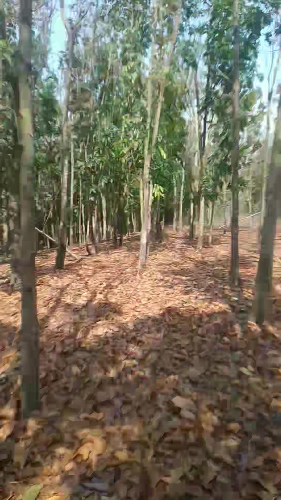 Sobrang Tindi Na Ng Init Sa Amin Guysang Lalaki Na Ng Bitak Ng Lupa 1015