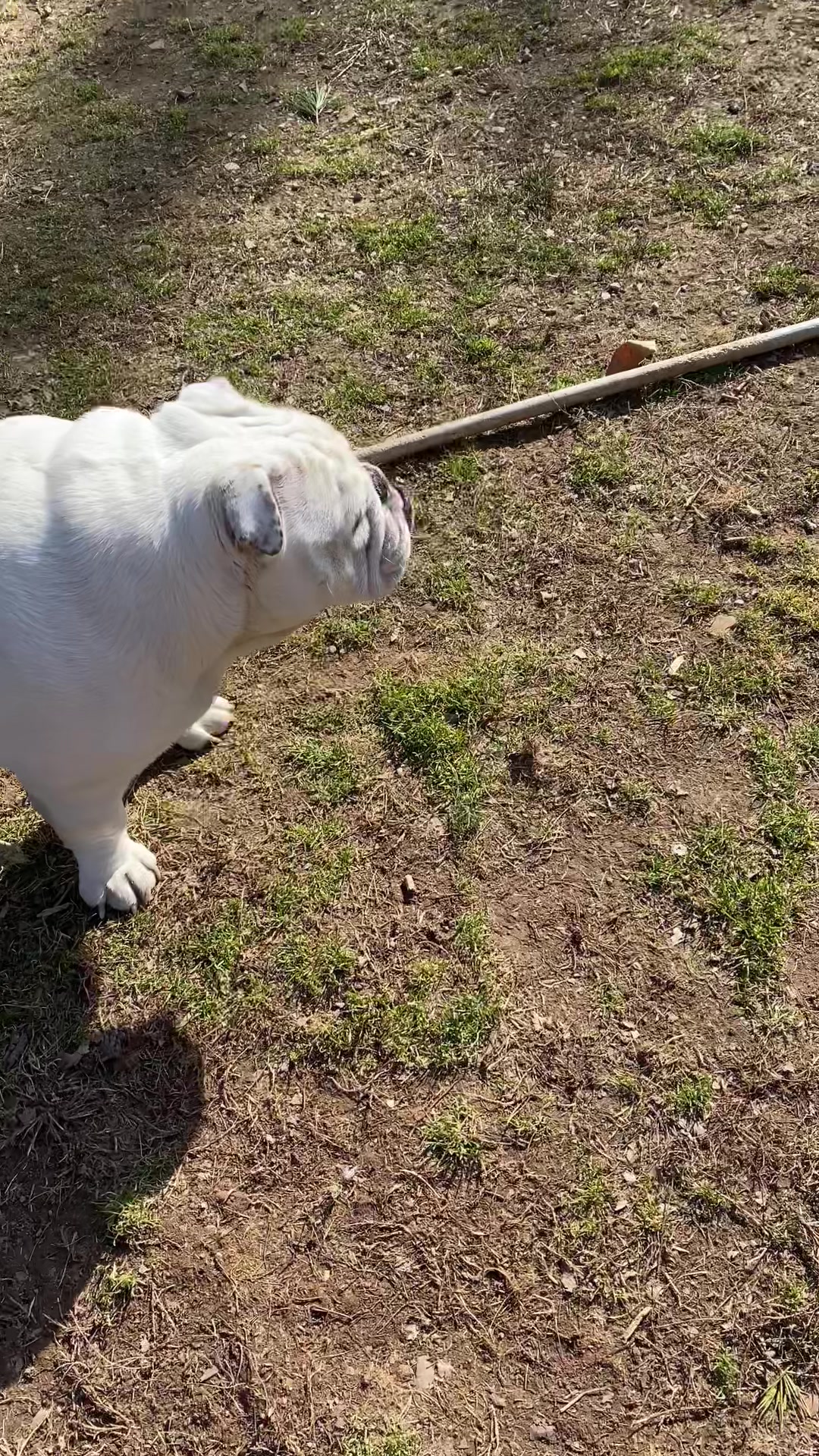 We Are Trying To Enjoy This Glorious Day As Much As Possible The Mommy