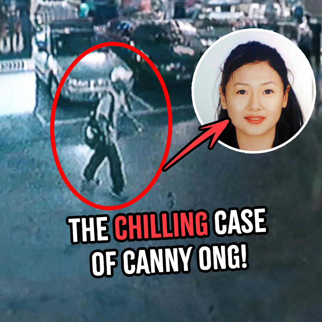 A Youtube Sensations Shocking Downfall The Ash Armand Story A Youtube Sensations Shocking