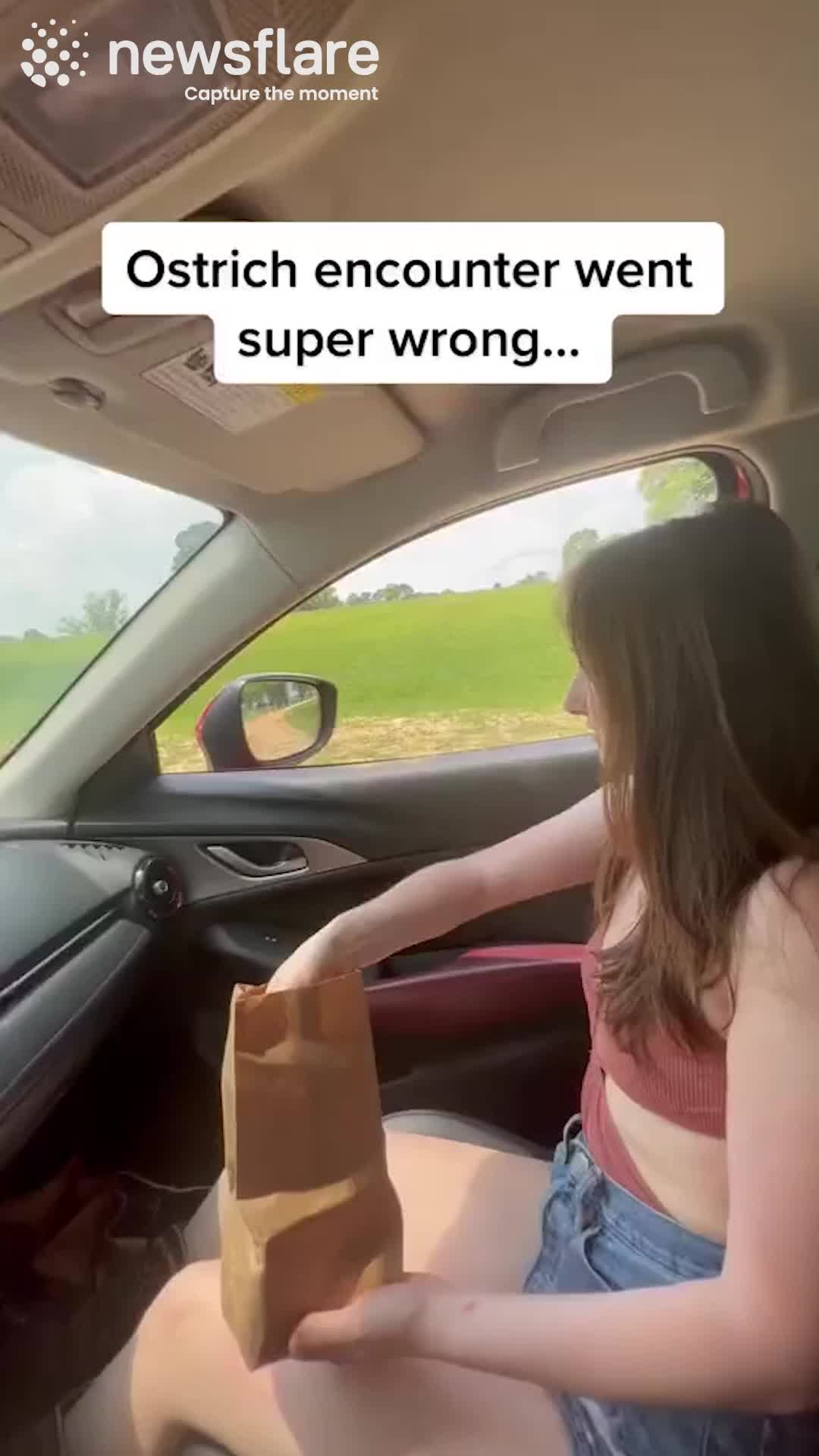 That Was Embarrassing For These Ladies Newsflare Facebook