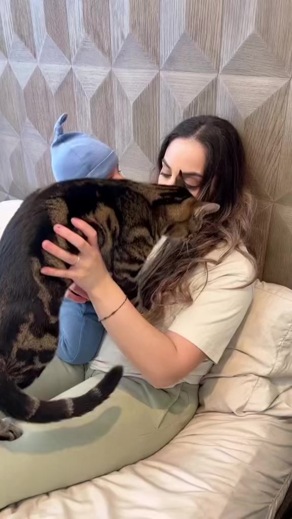 Chase Is The Jealous Type 🤣 Dontstopmeowing Dontstopmeowing