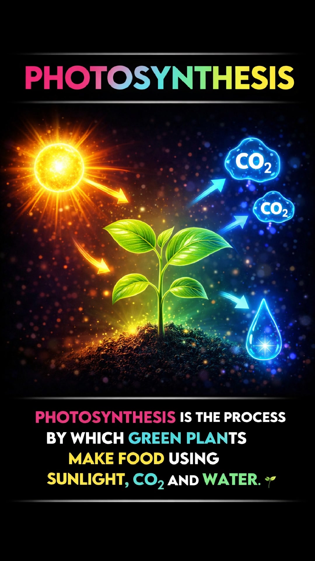 Photosynthesis – The Food Making Process of Plants 🌱 Photosynthesis is ...