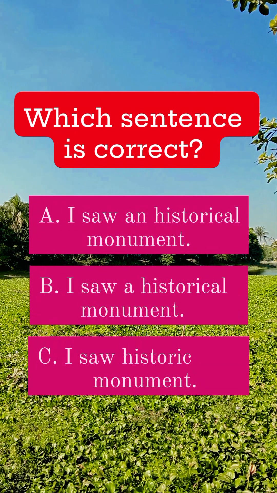 Which sentence is correct? #learning #learnenglish #fblifestyle ...