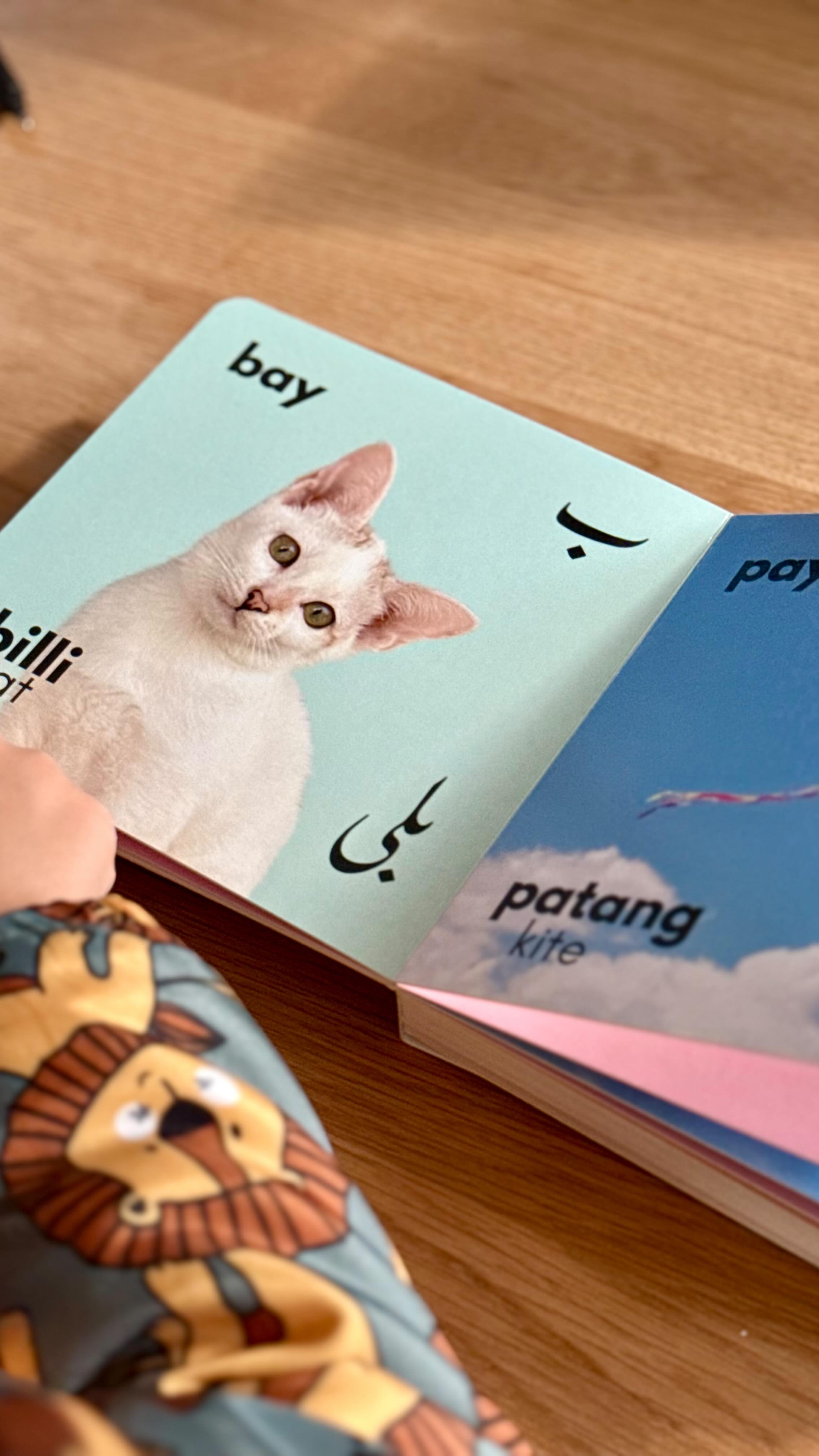 These Urdu children’s board books teach everyday vocabulary in Urdu and ...