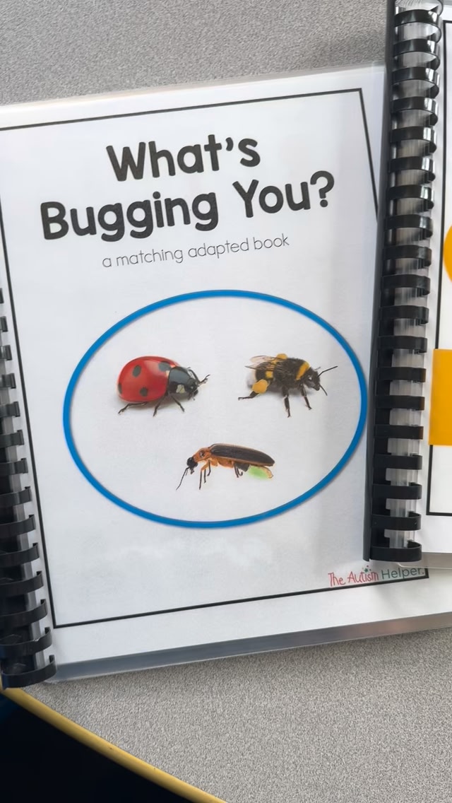 What's Bugging You? Identical Matching Adapted Book Designed with a ...