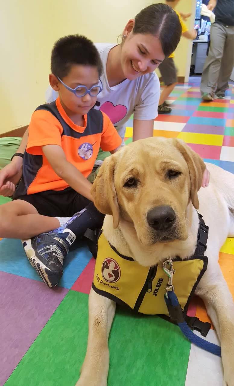 Anatomy of an Animal Assisted Therapy session. This is a quick look ...