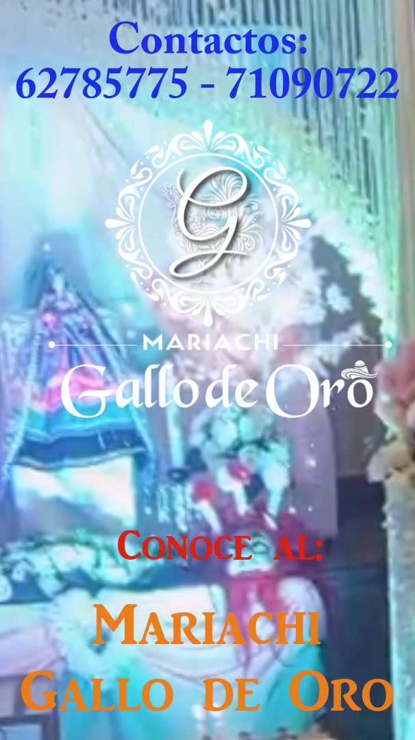 Mariachi Gallo de Oro - Oruro