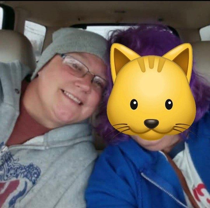 THE BLACK CAT APPRECIATION GROUP | No, these are not Christmas ...