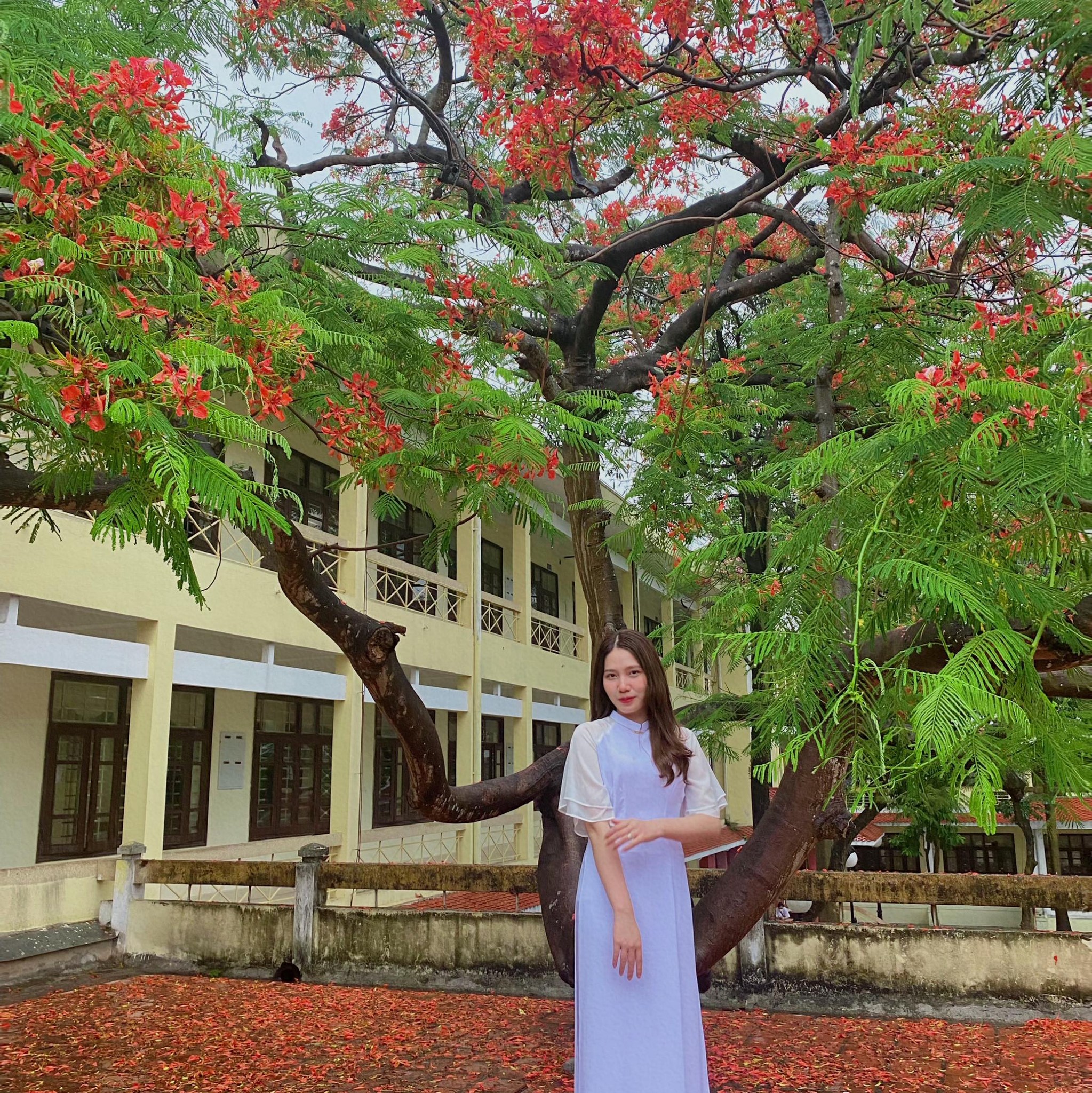 Nguyễn Kim Anh 8100