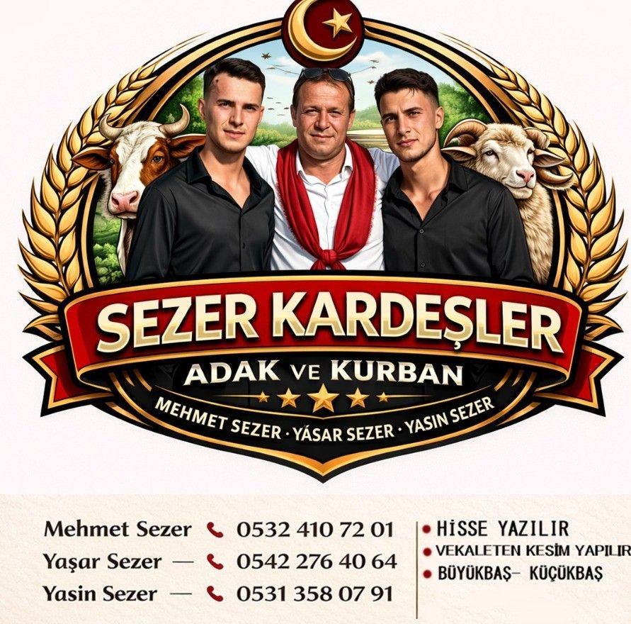 Mehmet Sezer 6365
