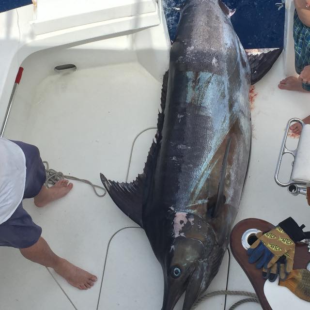 Day 2 is underway. Back at it aboard Devotion and looking for the bite ...