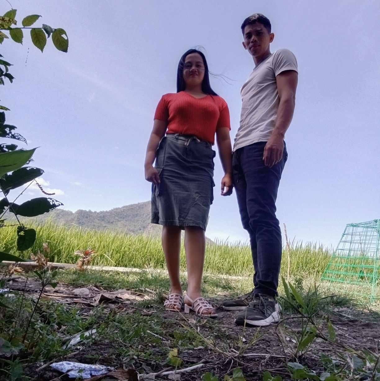 Available Semen For Today 09 09 26 👉 White Duroc Reggy Layda