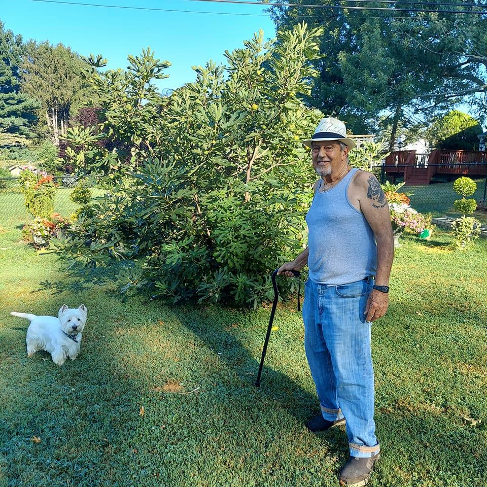 Backyard Tomato Growers | It’s almost turned | Facebook