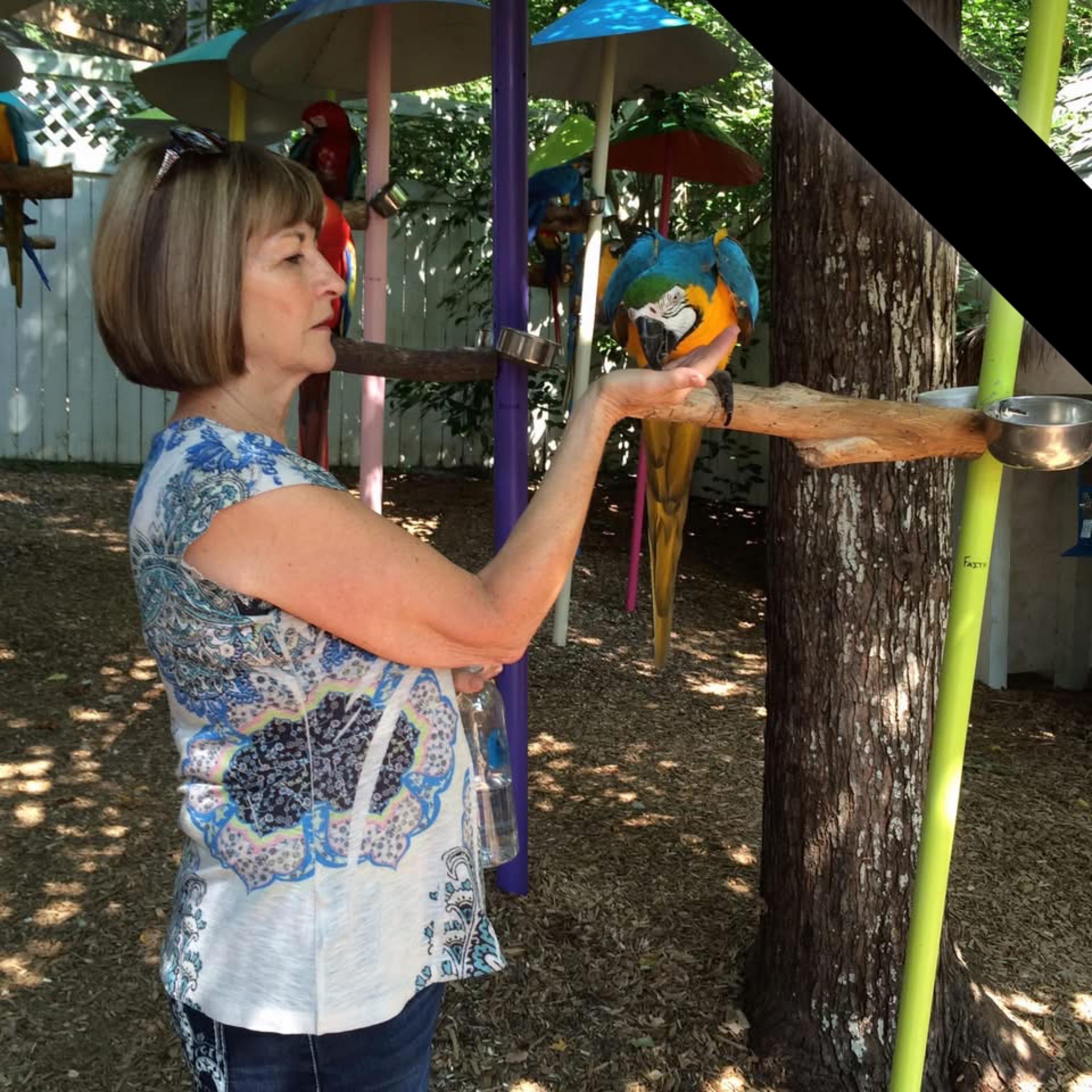 Doyle Swindell - My friend Barbara Mcmullen from northern... | Facebook