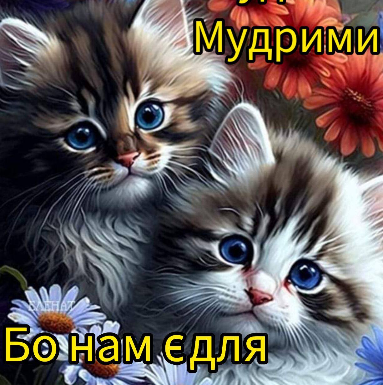А РОКИ ЛЕТЯТЬ А РОКИ ЛЕТЯТЬ ЇХ НАВІТЬ НА КРИЛАХ НЕ МОЖНА ДОГНАТЬ УСЕ ЩО НАЙКРАЩЕ ЗАБРАЛИ ЛІТА