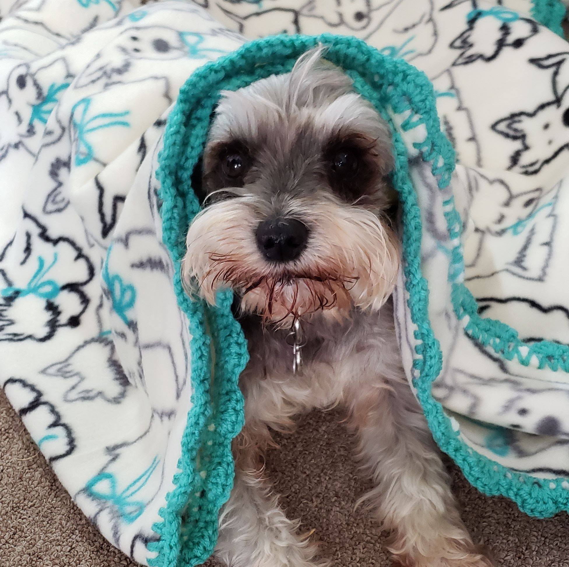 Knotty Girl Crochet
