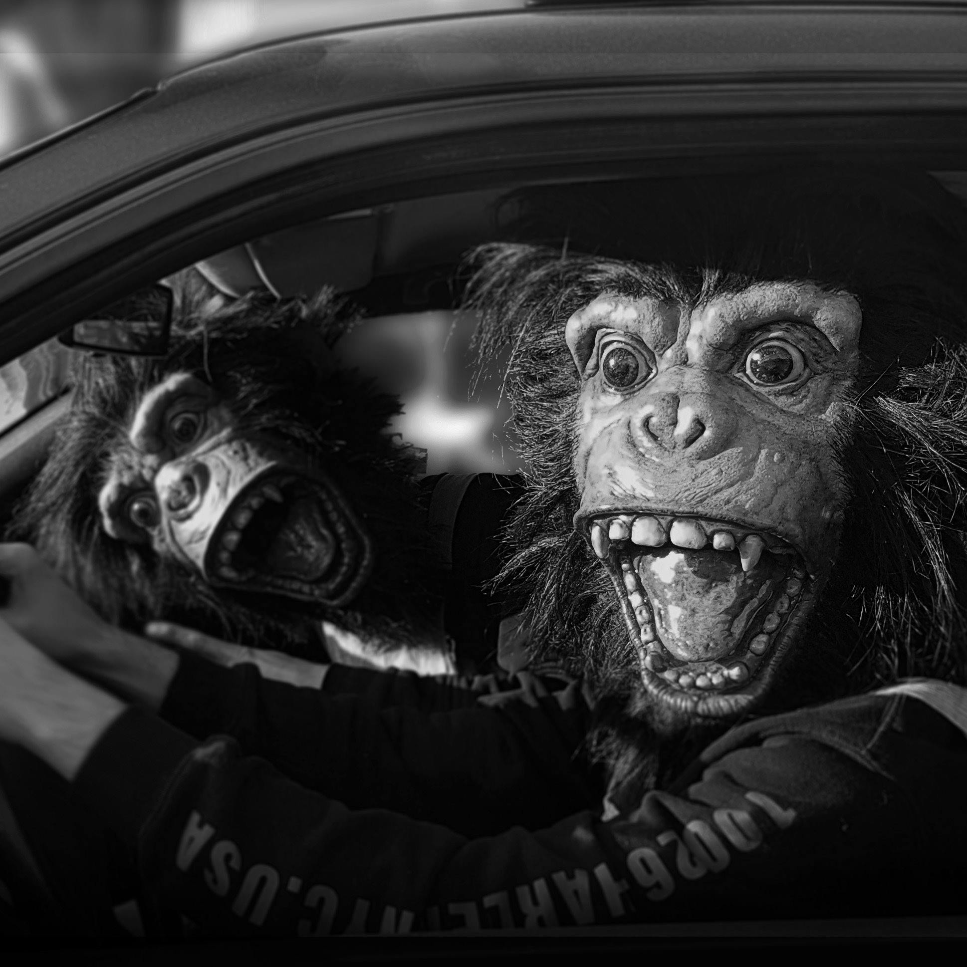 Total Ape 8861