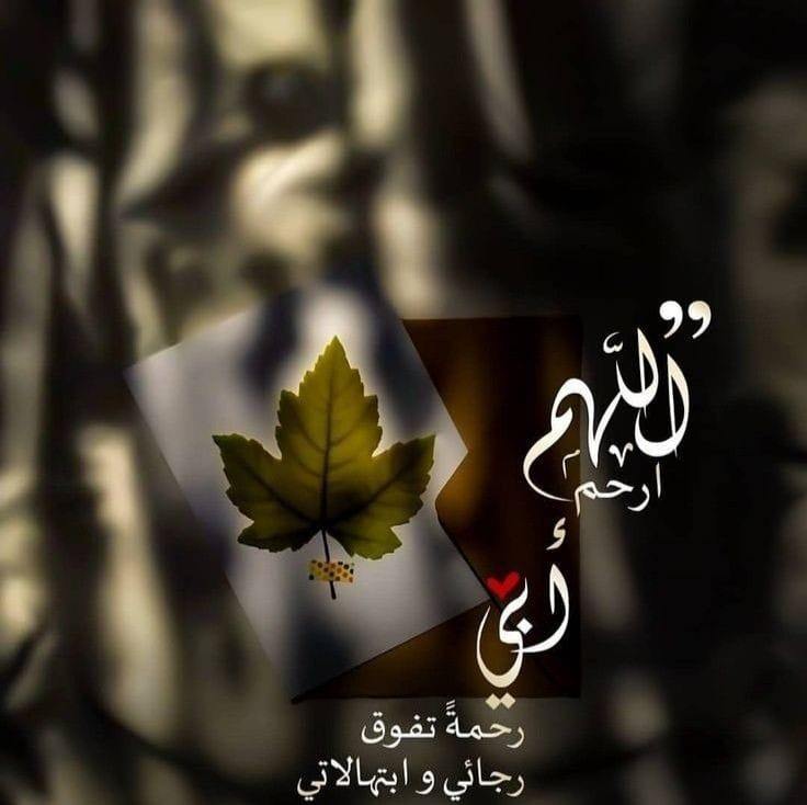 نشيد الحروف العربية - حرف ر و ز مع طريقة و كيفية كتابة الحروف بالخطوات ...