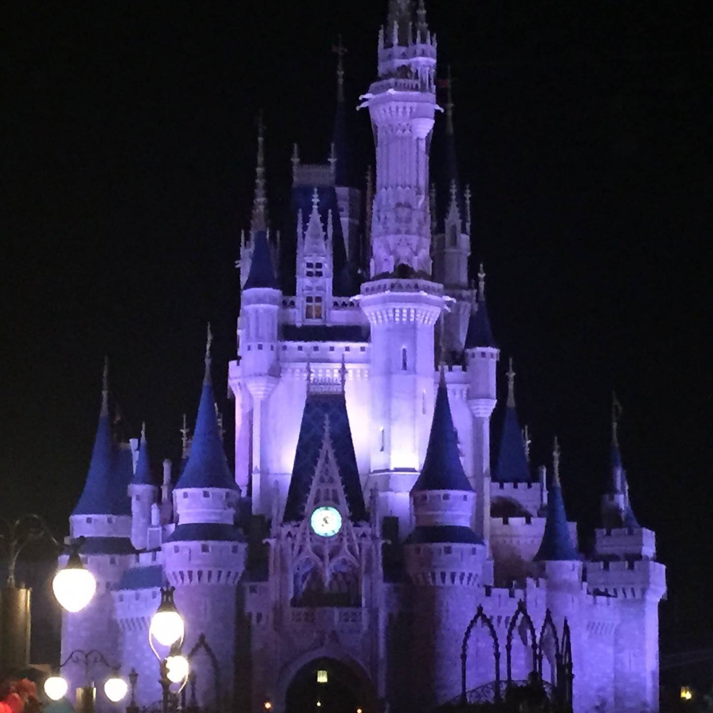 The Pixie Dust Princess Charlestown In