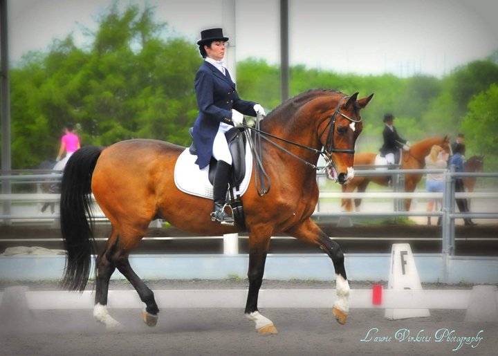 Bridled Passion Dressage Cleburne Tx
