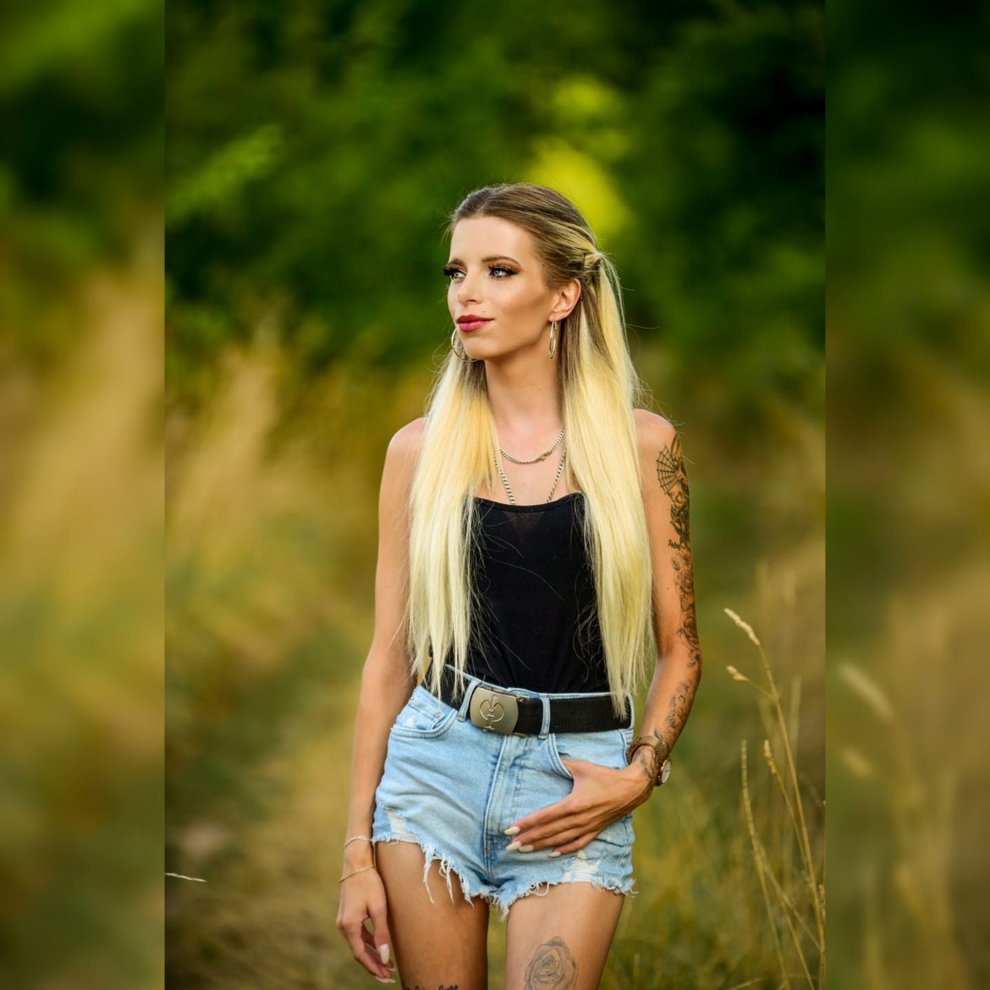 Model Carina