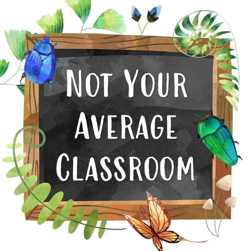 Not Your Average Classroom
