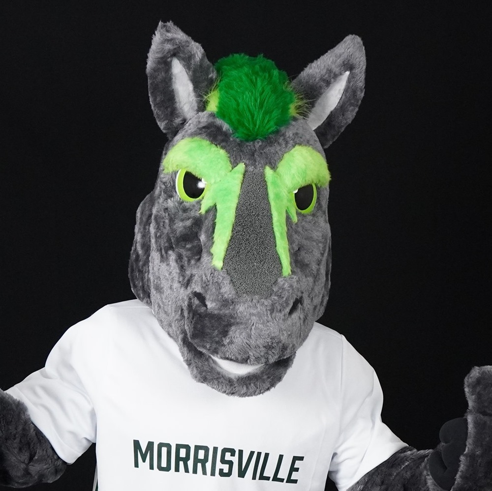 Mascots Scoile Ard Mustang