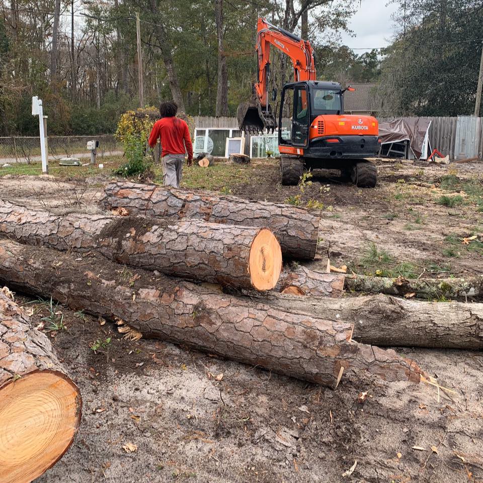 Great Description About Tree Service Myrtle Beach Sc