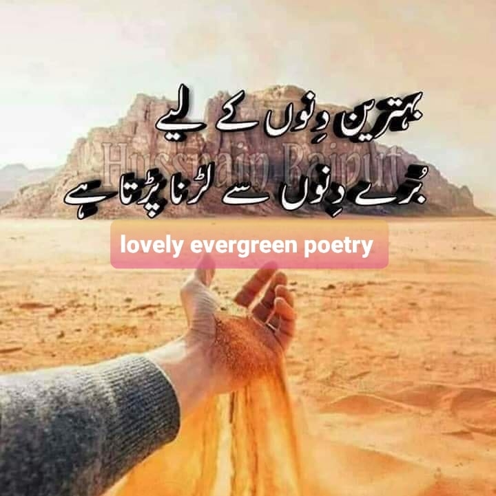 Lovely Evergreen Poetry 8122
