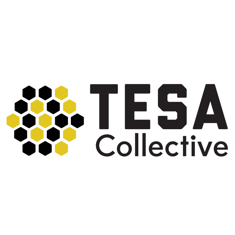 These are board games for changing... - The TESA Collective | Facebook