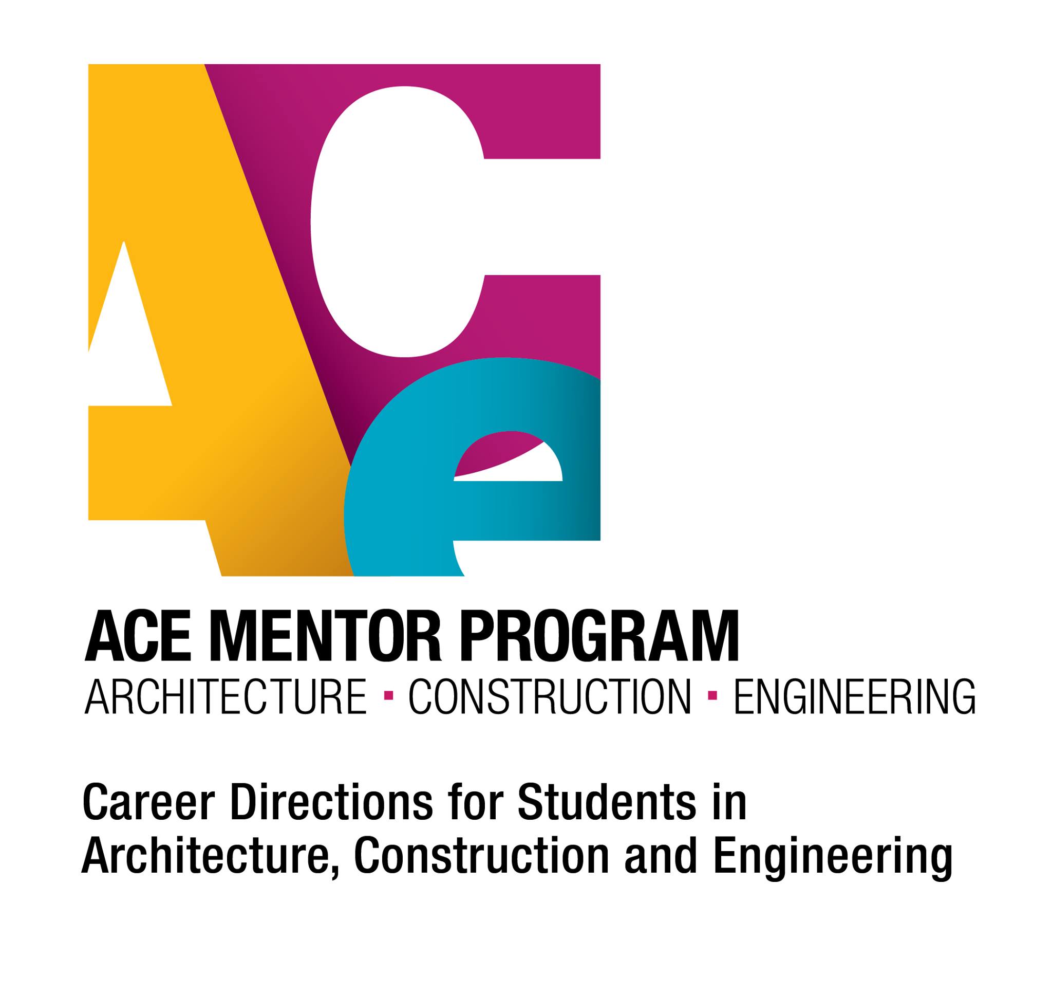 ACE DC Mentor Program | Washington D.C. DC