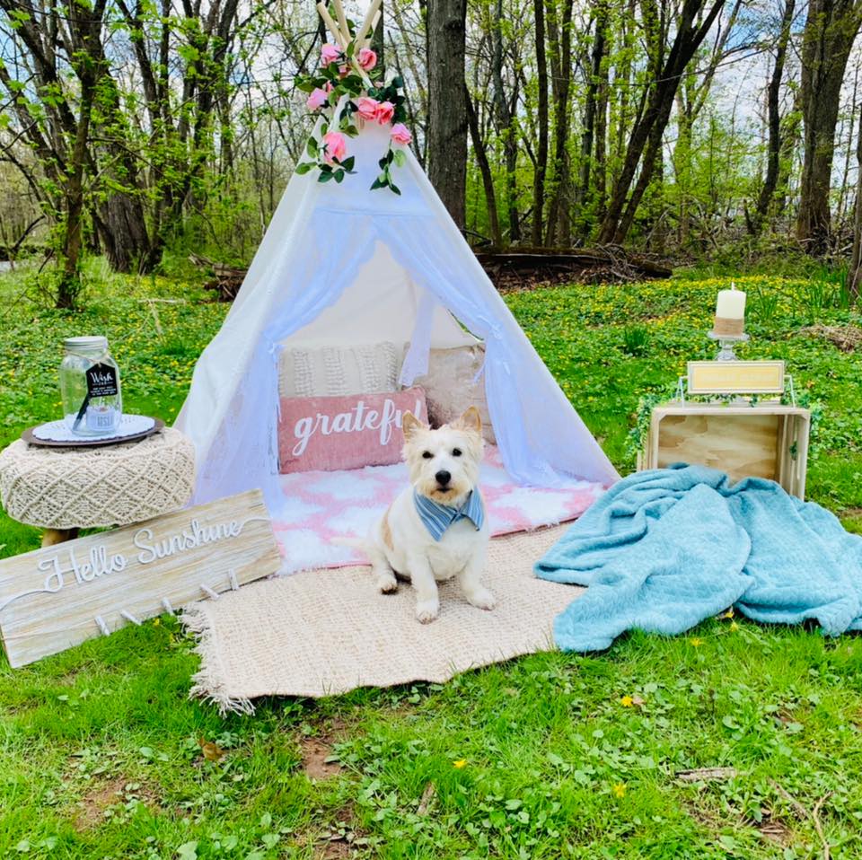 The Love Pixie The Love Pixie Added A New Photo