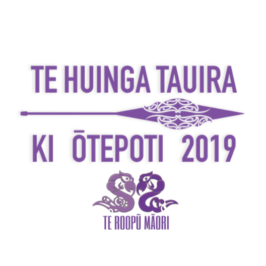 Te Huinga Tauira Ki Ōtepoti 2019