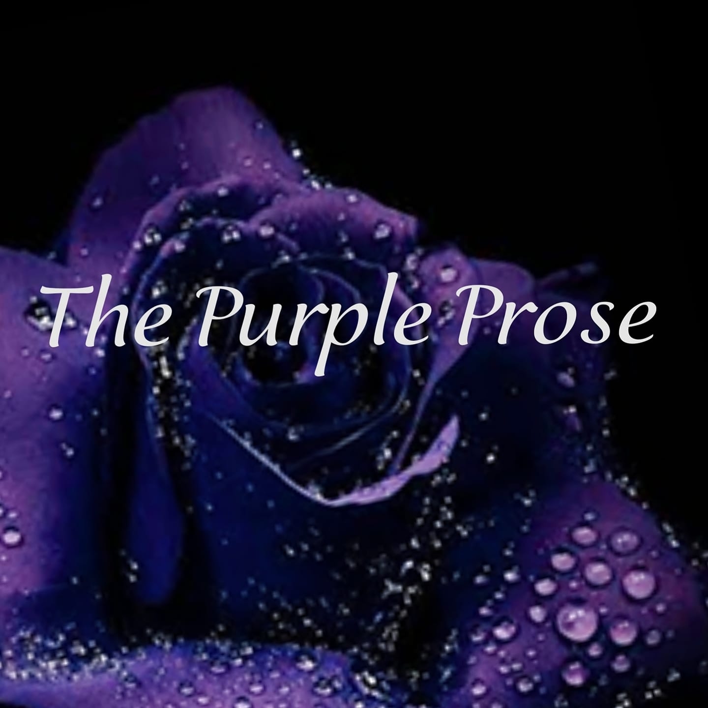The Purple Prose Lahore 0125