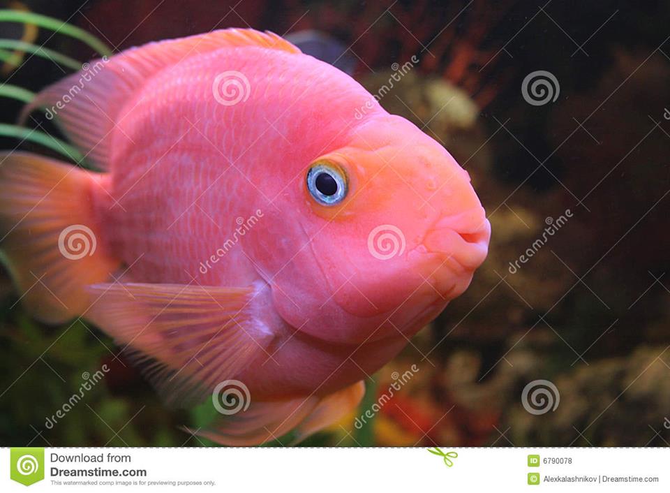 Bio Sci 6200