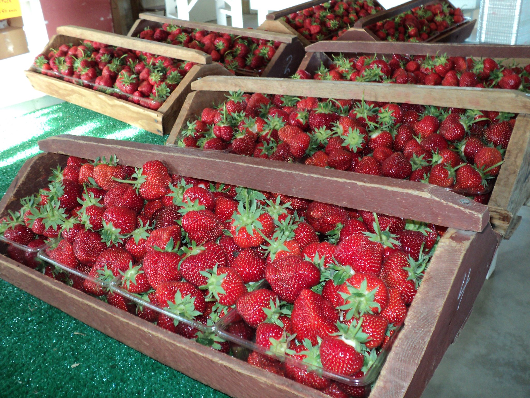 We will not have corn,... - Diederich's Berry & Produce Farm | Facebook