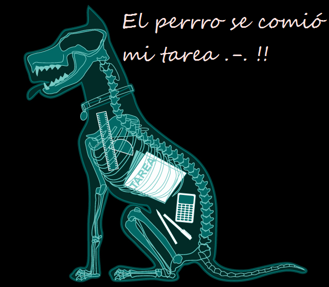 El perro se comio mi tarea