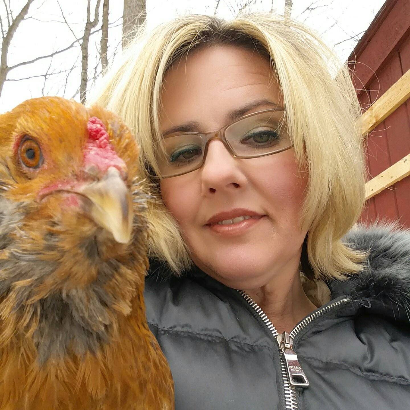 The Daily Chicken/ Easter Egg Farm