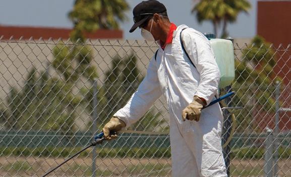 Great Description About Joe Blue Pest Control