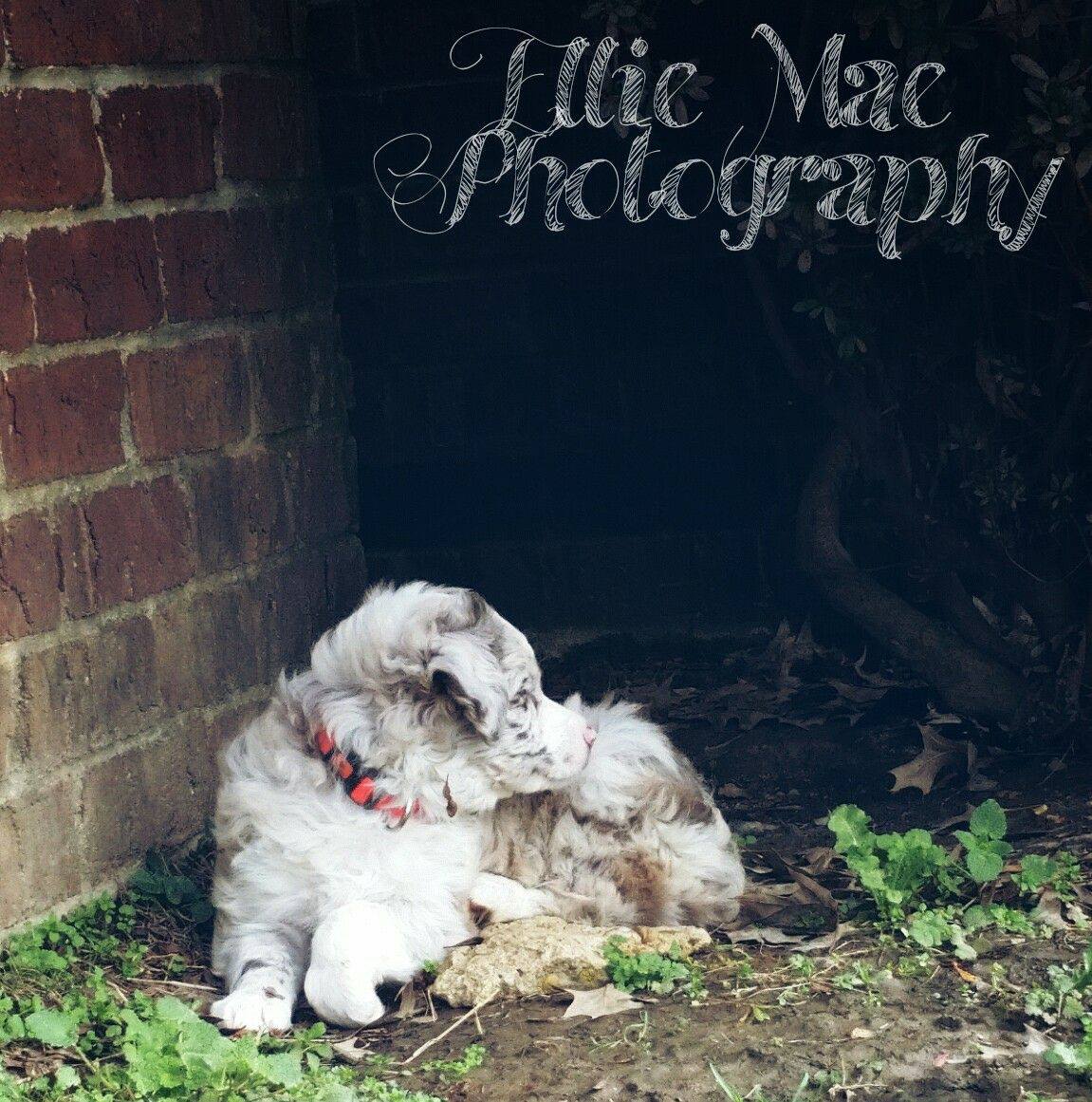 Ellie Mae Photography