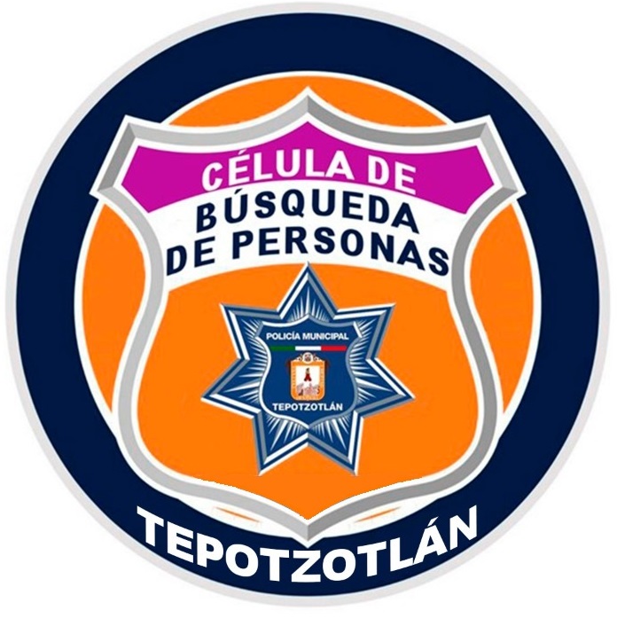 Prevencion Del Delito 7242
