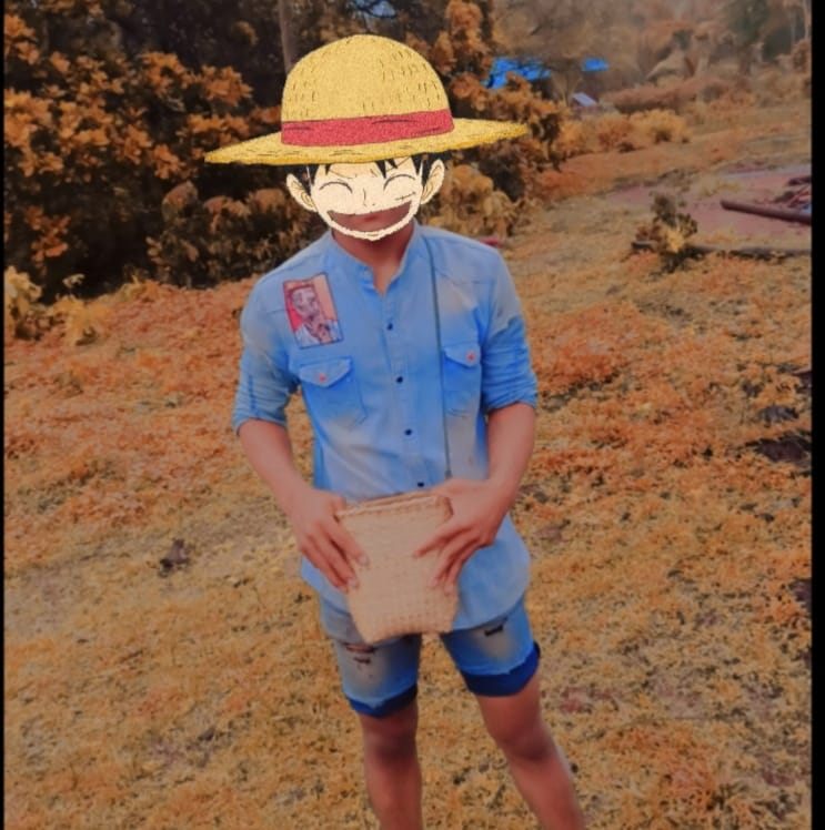 Moemoe