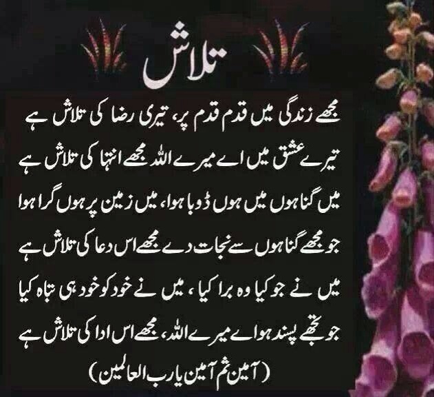 Surah: Hud • • Reciter: ? • • The dual nature of light refers to the ...
